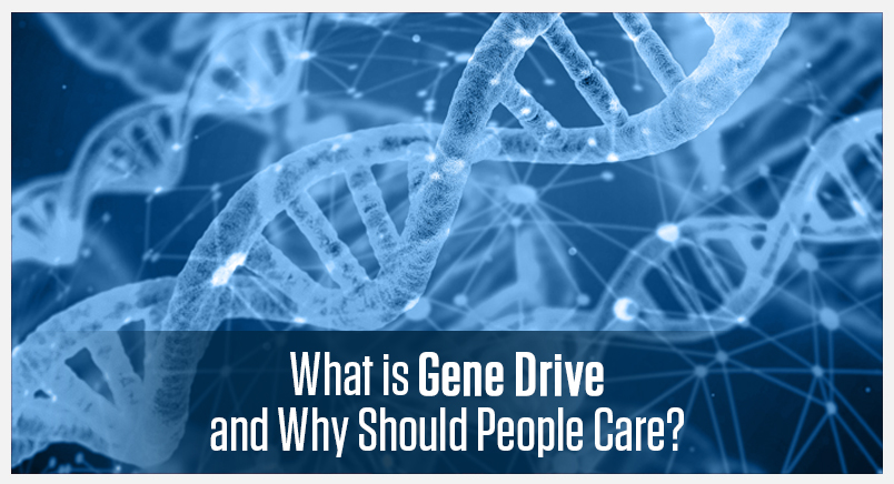 Gene Drive Applications to Agriculture in Texas • The Bush School of ...